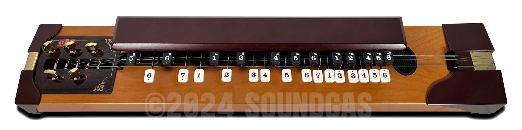 Suzuki Electric Taishogoto FOR SALE – Soundgas